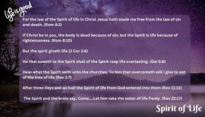 Spirit Of Life (Holy Spirit Names Series)