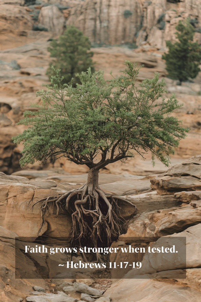 Unshakable: Discovering the Life-Changing Power of Faith