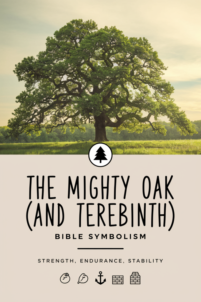 God Speaks Through Trees—Have You Listened?