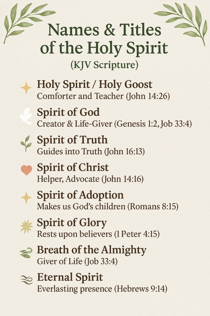 Bible Study About The Holy Spirit: From Fire to Dove