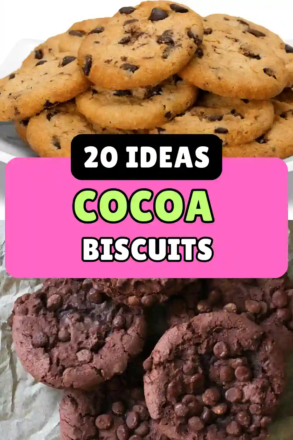 20 Easy Cocoa and Biscuit Ideas That Actually Work